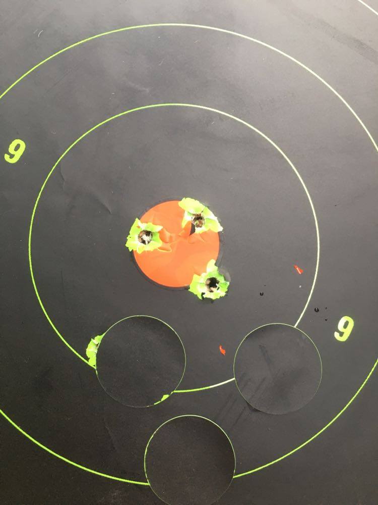 The Grandpower Stribog TR22 | Rimfire Performance Rifle — Delta Mike Ltd